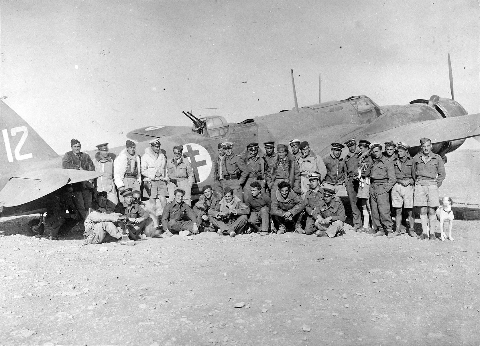 Groupe de bombardement 1 « Lorraine », Squadron 342 | Expositions du ...
